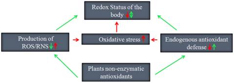 Significance of Antioxidant Potential of Plants and its Relevance to ...