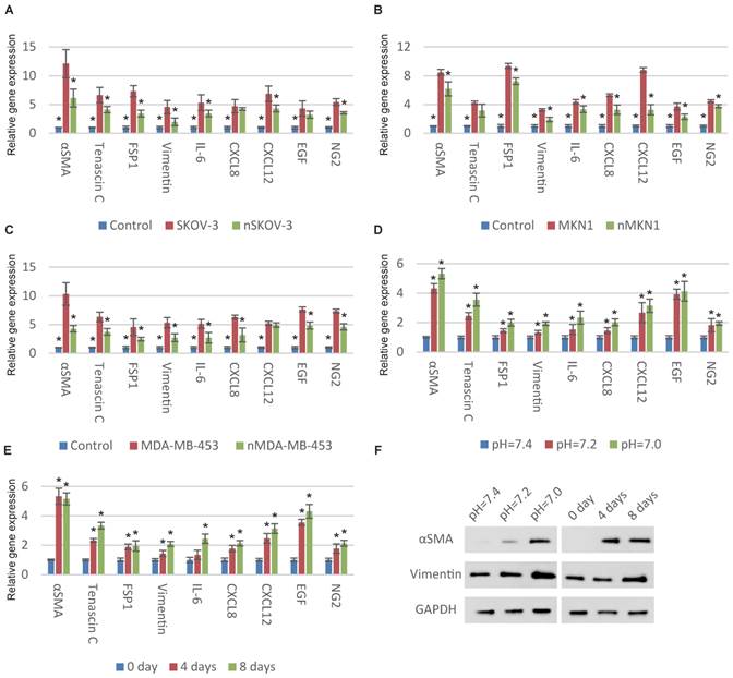 Proton-sensing GPCR-YAP Signalling Promotes Cancer-associated ...