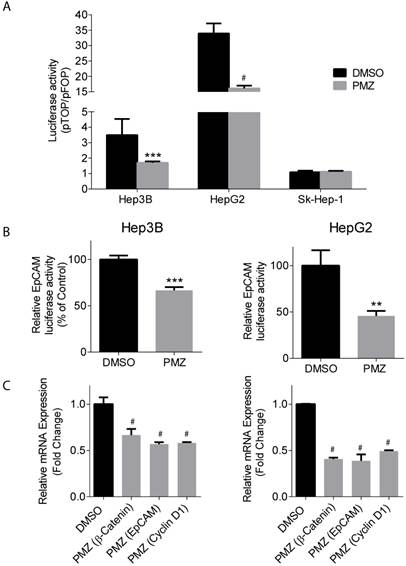 Inhibition of wnt/β-catenin Signaling in Hepatocellular Carcinoma by an ...