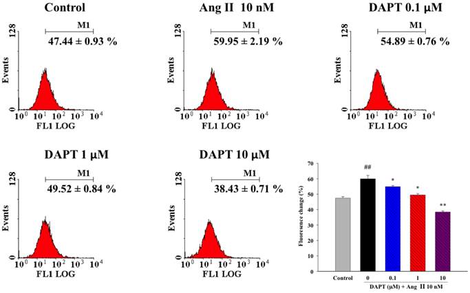 Gamma-secretase Inhibitor Prevents Proliferation and Migration of ...