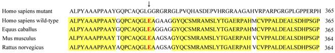 Novel FOXC2 Mutation in Hereditary Distichiasis Impairs DNA-Binding ...