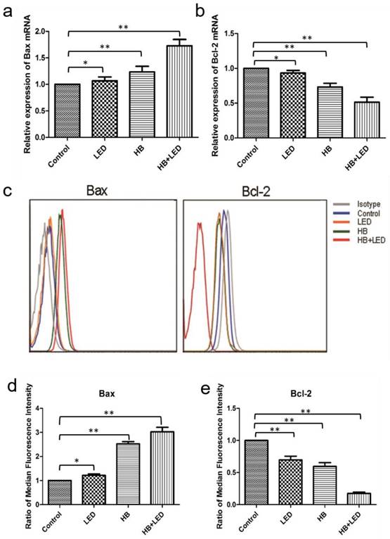 Effects of Photodynamic Therapy Using Yellow LED-light with Concomitant ...