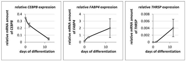 Increased expression of thyroid hormone responsive protein (THRSP) is ...