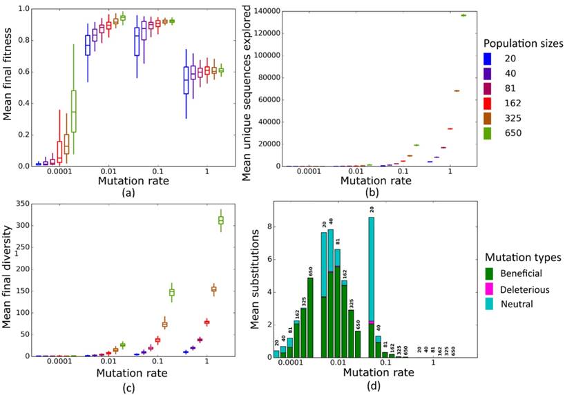 Effect of Population Size and Mutation Rate on the Evolution of RNA ...