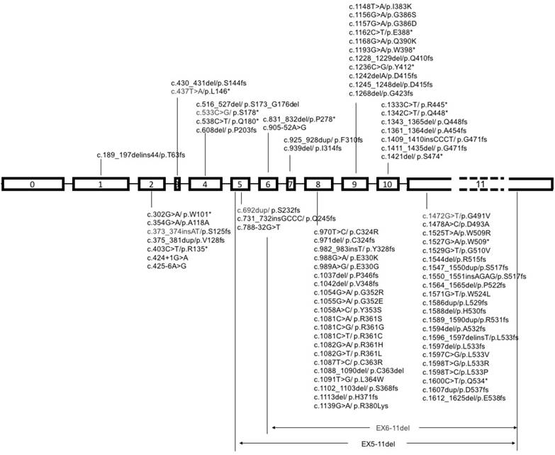 The role of TGF-β/SMAD4 signaling in cancer
