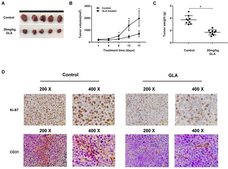 Glaucocalyxin A induces G2/M cell cycle arrest and apoptosis through ...