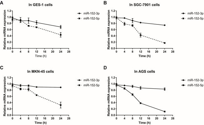 MiR-152-5p as a microRNA passenger strand special functions in human ...
