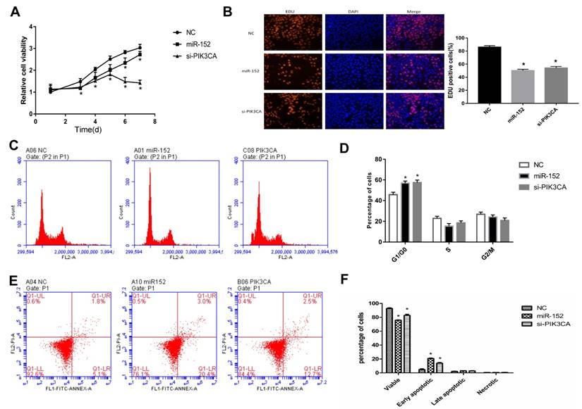 MiR-152-5p as a microRNA passenger strand special functions in human ...