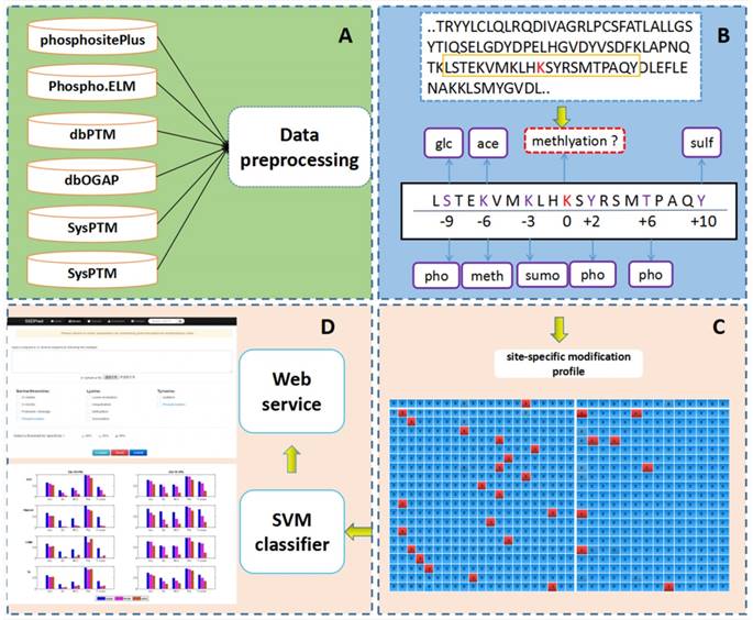 PTM-ssMP: A Web Server for Predicting Different Types of Post ...