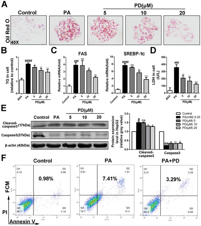 Polydatin attenuates diet-induced nonalcoholic steatohepatitis and ...