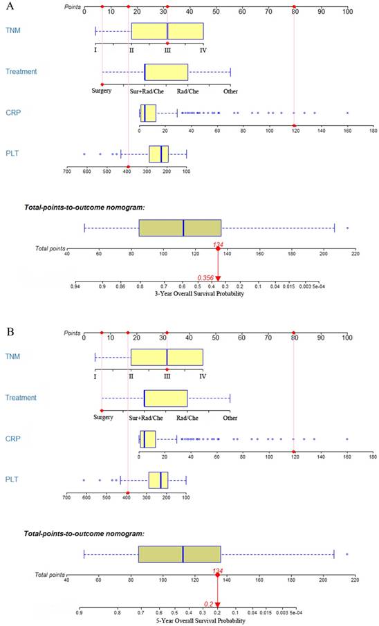Prognostic Dynamic Nomogram Integrated with Inflammation-Based Factors ...