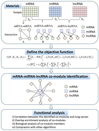 Prior Knowledge Driven Joint NMF Algorithm for ceRNA Co-Module Identification