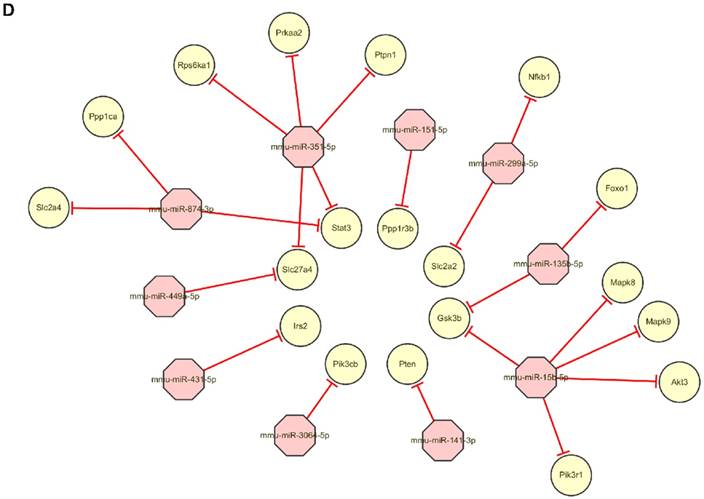 Exosomal transfer of obesity adipose tissue for decreased miR-141-3p ...