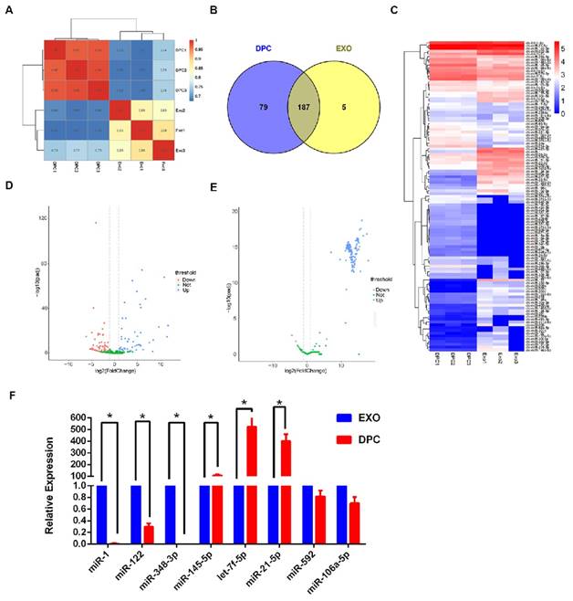 Exosomal Micro RNAs Derived from Dermal Papilla Cells Mediate Hair ...