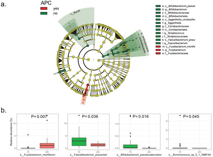 Gut microbiome associated with APC gene mutation in patients with ...