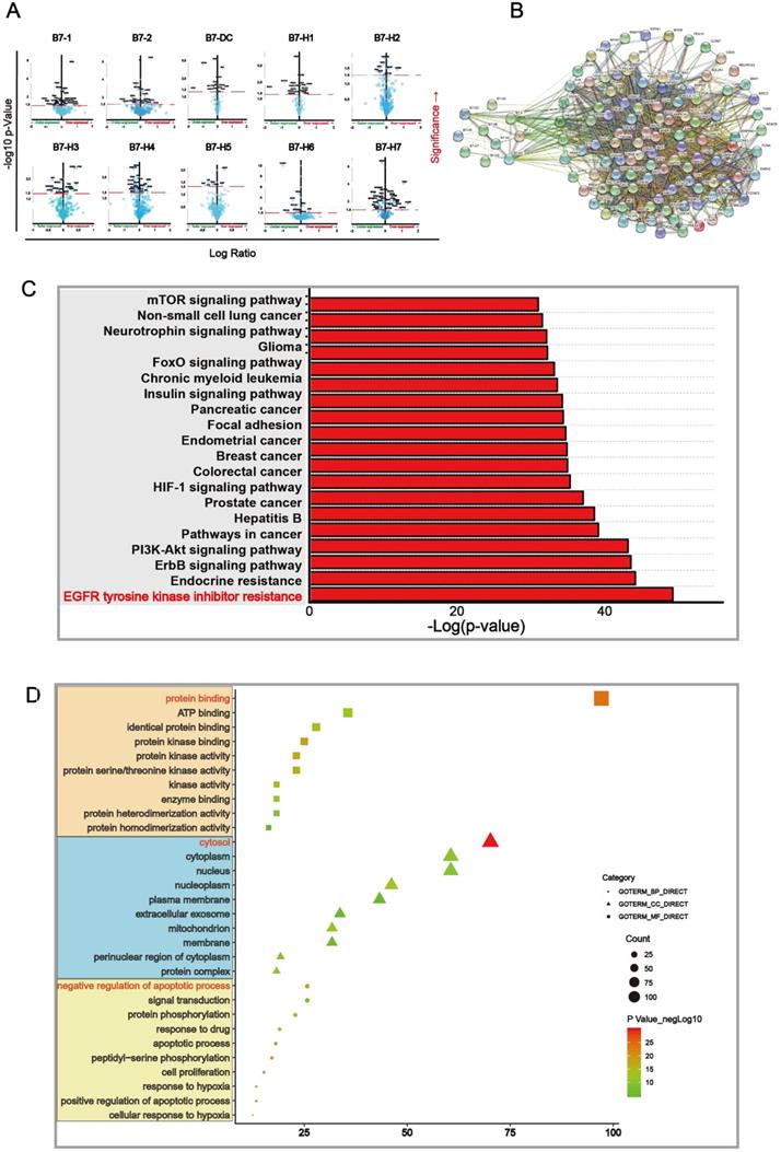Comprehensive understanding of B7 family in gastric cancer: expression ...