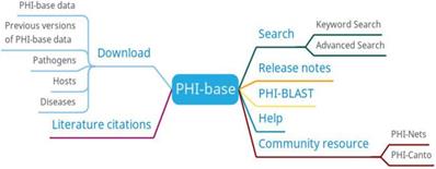 Contents, Construction Methods, Data Resources, and Functions ...