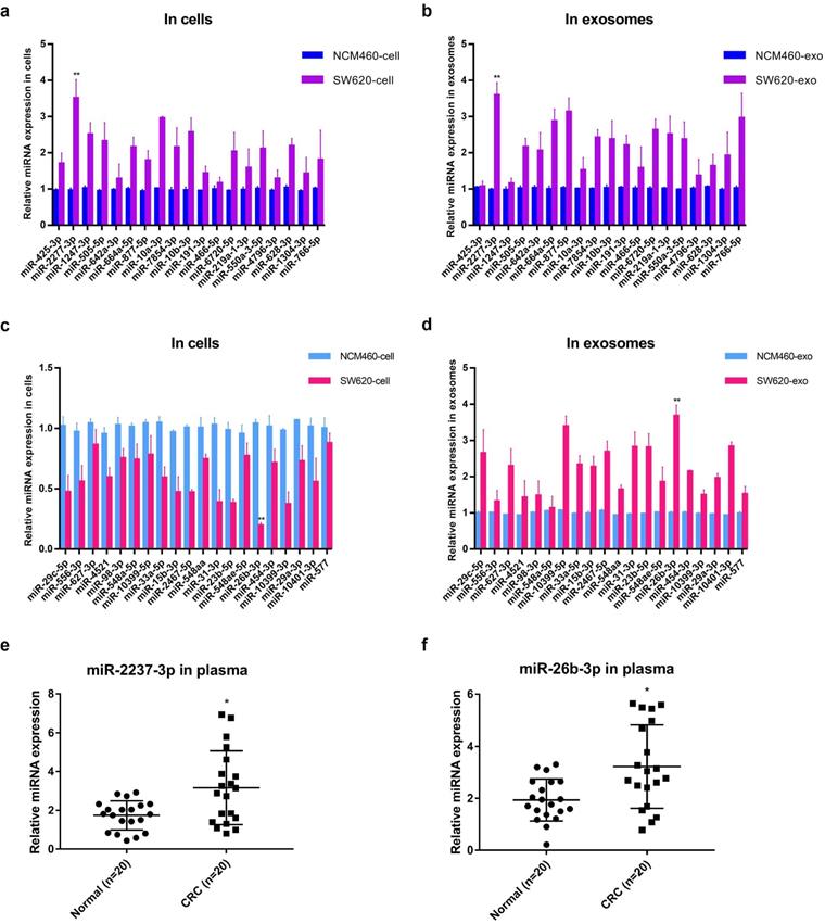 Functional Passenger-Strand miRNAs in Exosomes Derived from Human Colon ...