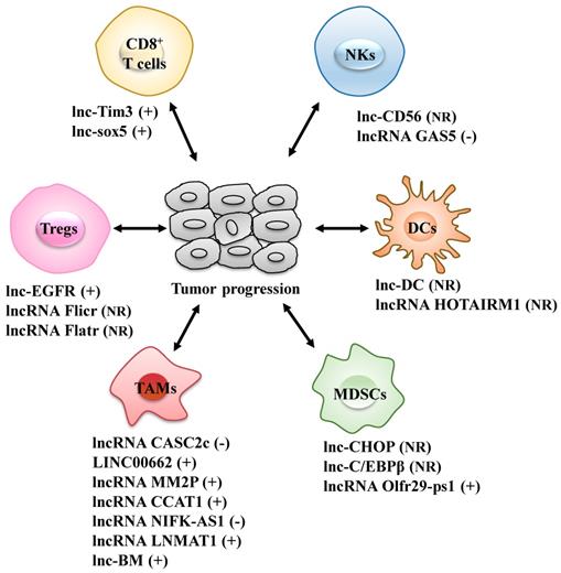 Emerging Roles of Long non-coding RNAs in The Tumor Microenvironment