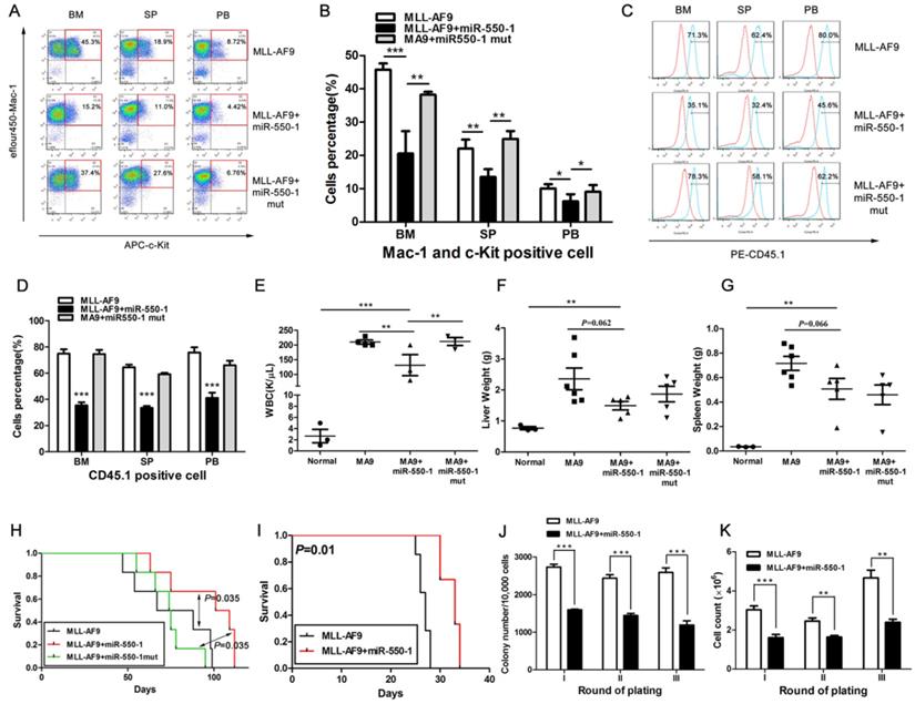 miR-550-1 functions as a tumor suppressor in acute myeloid leukemia via ...