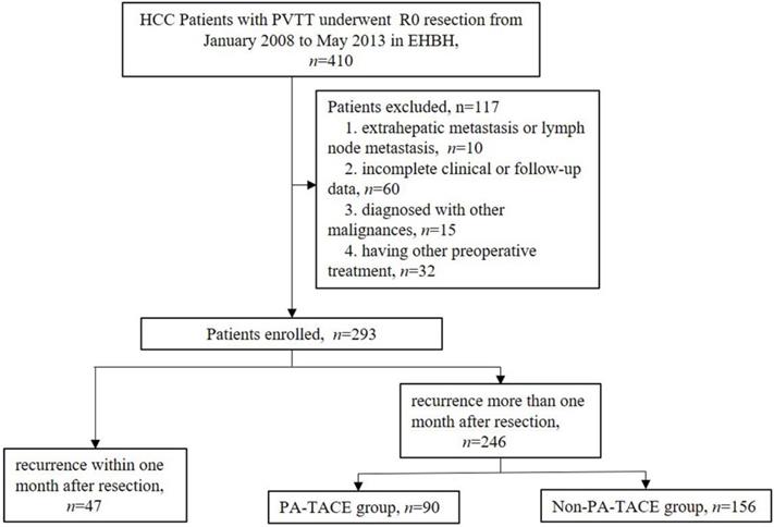 Postoperative adjuvant TACE-associated nomogram for predicting the ...