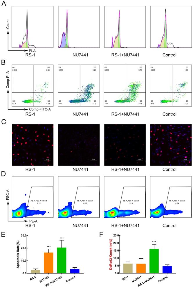 Generation of VEGF knock-in Cashmere goat via the CRISPR/Cas9 system