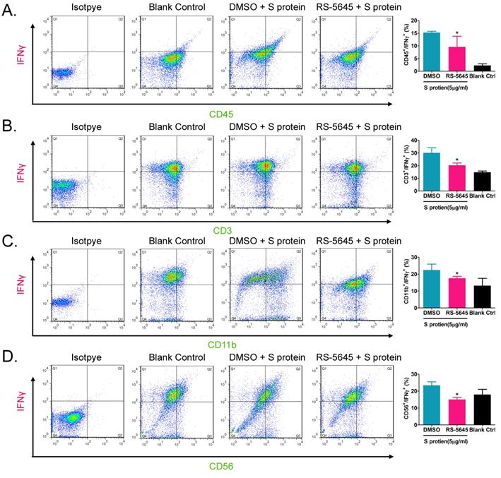 RS-5645 attenuates inflammatory cytokine storm induced by SARS-CoV-2 ...