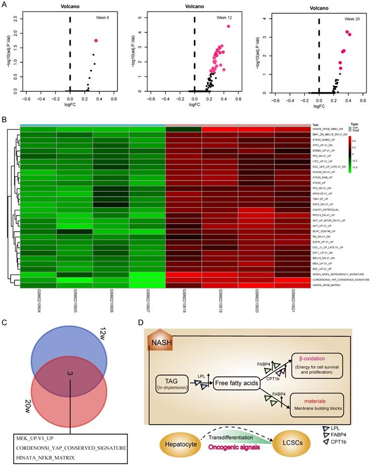 Targeted Inhibition of LPL/FABP4/CPT1 fatty acid metabolic axis can ...