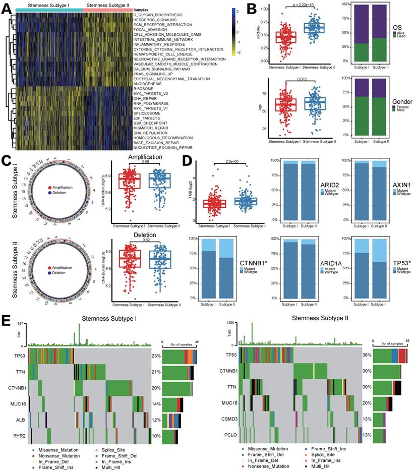 Integrated Machine Learning and Bioinformatic Analyses Constructed a ...