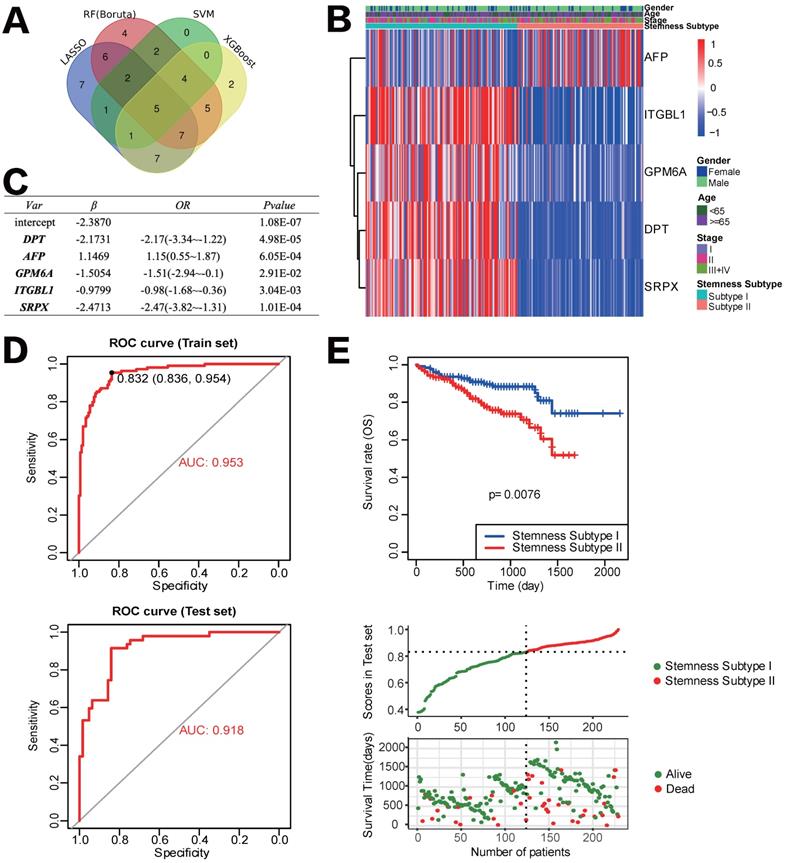 Integrated Machine Learning and Bioinformatic Analyses Constructed a ...