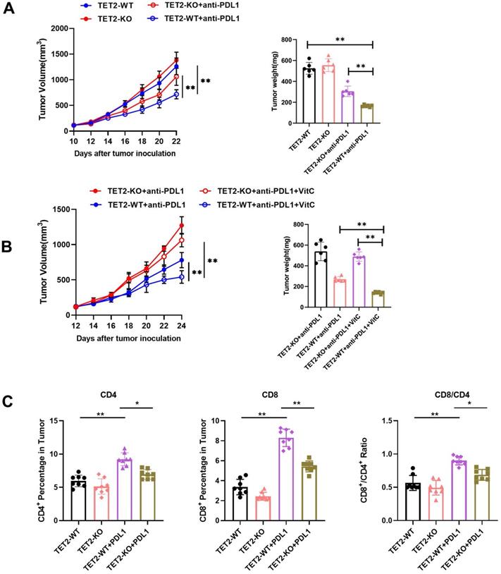 Ascorbic acid induced TET2 enzyme activation enhances cancer ...