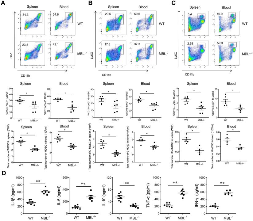 Mannan-Binding Lectin Deficiency Limits Inflammation-induced Myeloid ...