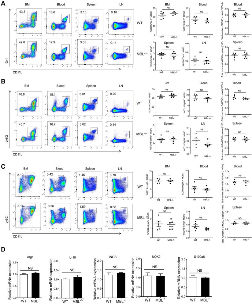 Mannan-Binding Lectin Deficiency Limits Inflammation-induced Myeloid ...