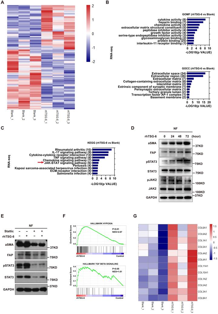 TSG-6 promotes Cancer Cell aggressiveness in a CD44-Dependent Manner ...