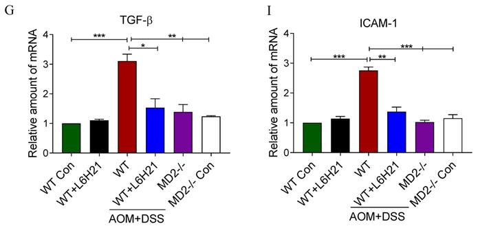 Selective targeting of the TLR4 co-receptor, MD2, prevents colon cancer growth and lung ...