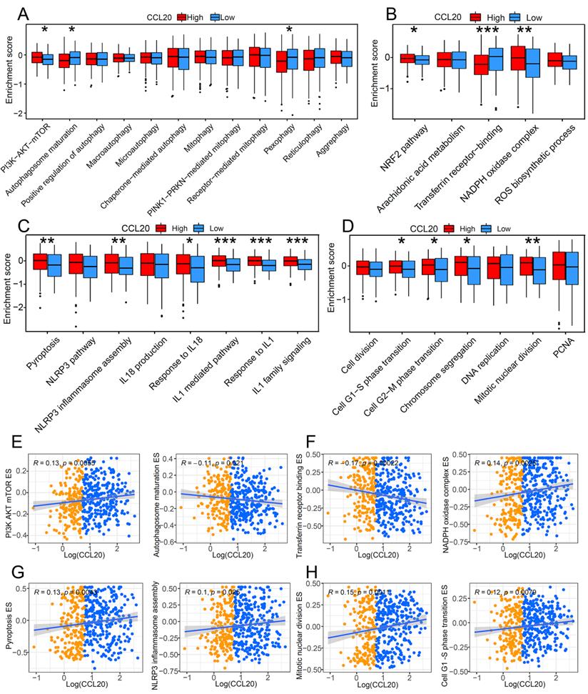 CCL20 promotes lung adenocarcinoma progression by driving epithelial ...