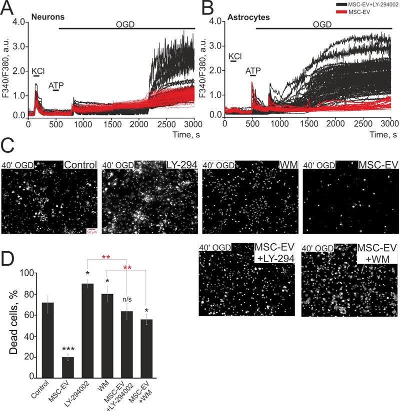Mesenchymal stromal cell-derived extracellular vesicles afford ...