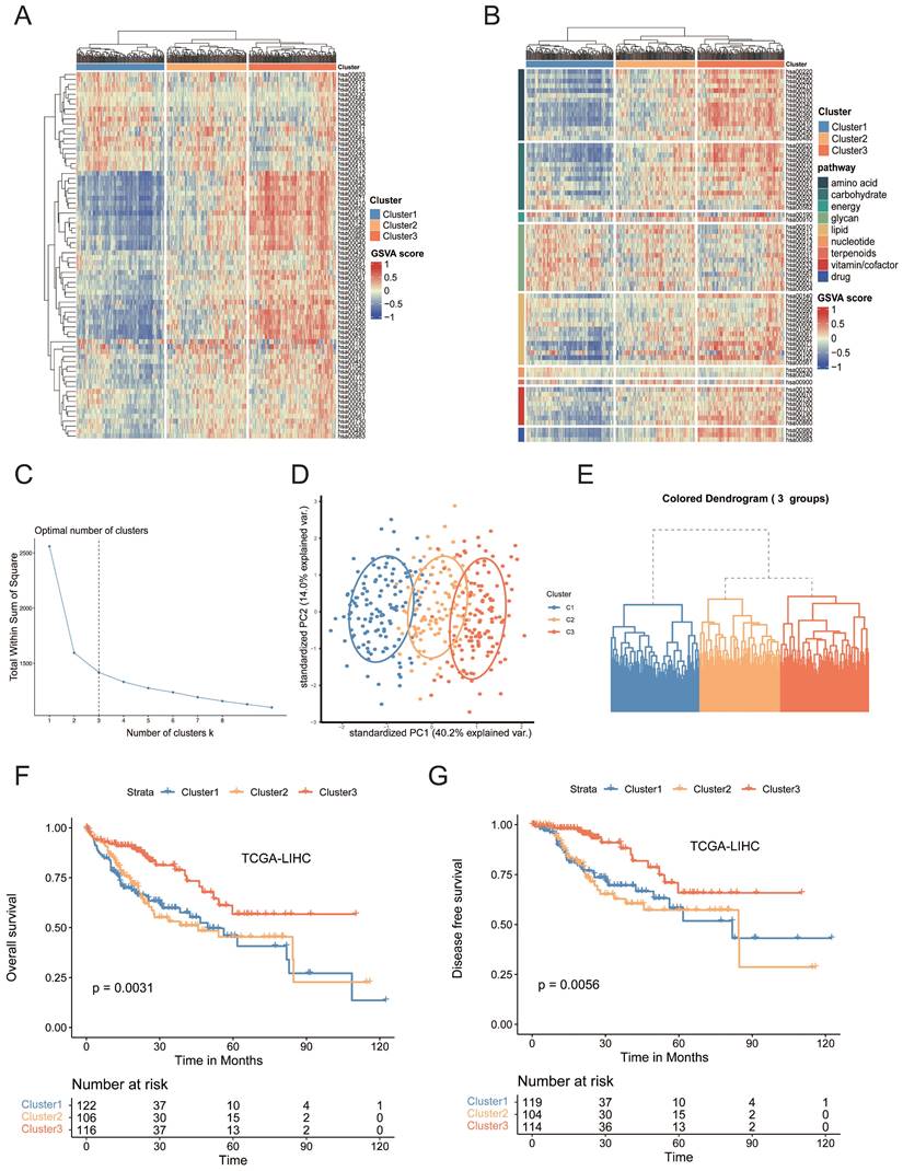 Bulk and single-cell transcriptome profiling reveal extracellular ...
