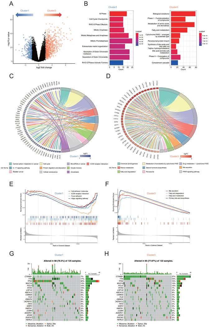 Bulk and single-cell transcriptome profiling reveal extracellular ...