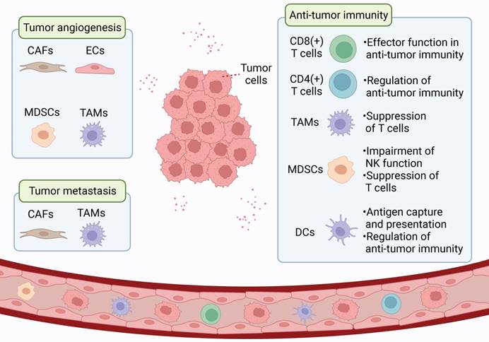 Crosstalk between N6-methyladenosine (m6A) modification and noncoding RNA in tumor microenvironment