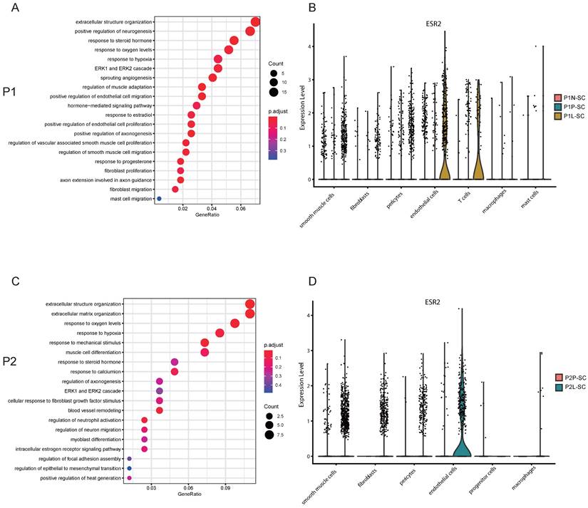 Integrating Spatial Transcriptomics and Single-nucleus RNA Sequencing ...
