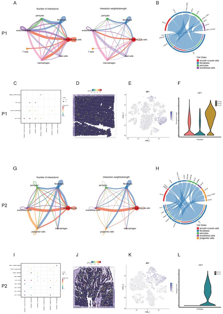 Integrating Spatial Transcriptomics and Single-nucleus RNA Sequencing ...