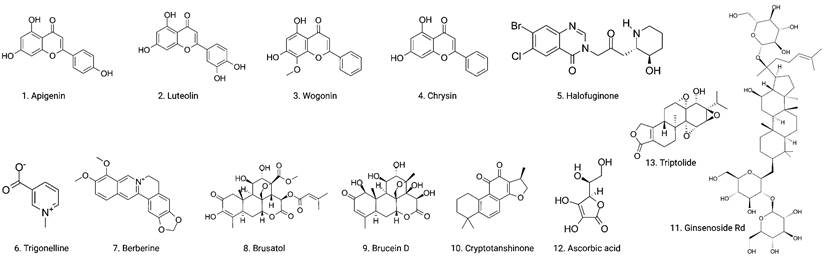Natural Nrf2 Inhibitors: A Review of Their Potential for Cancer Treatment