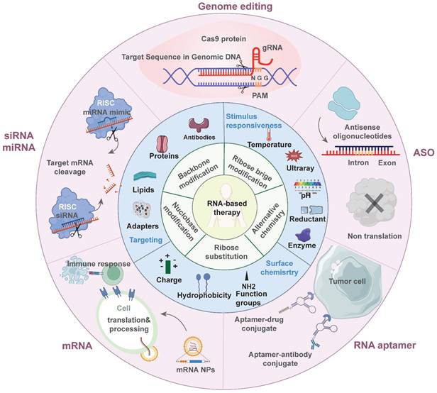 Emerging Progress of RNA-Based Antitumor Therapeutics