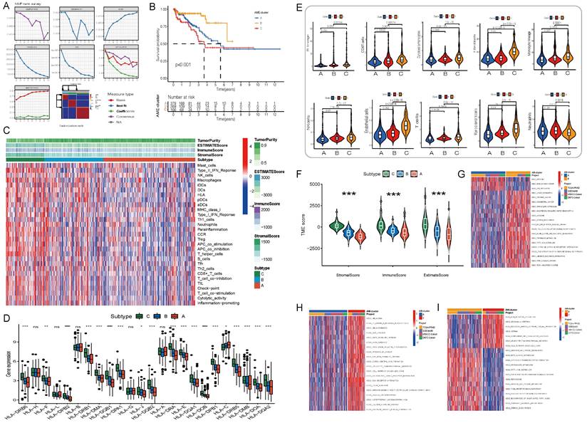 Therapeutic implications for localized prostate cancer by multiomics ...