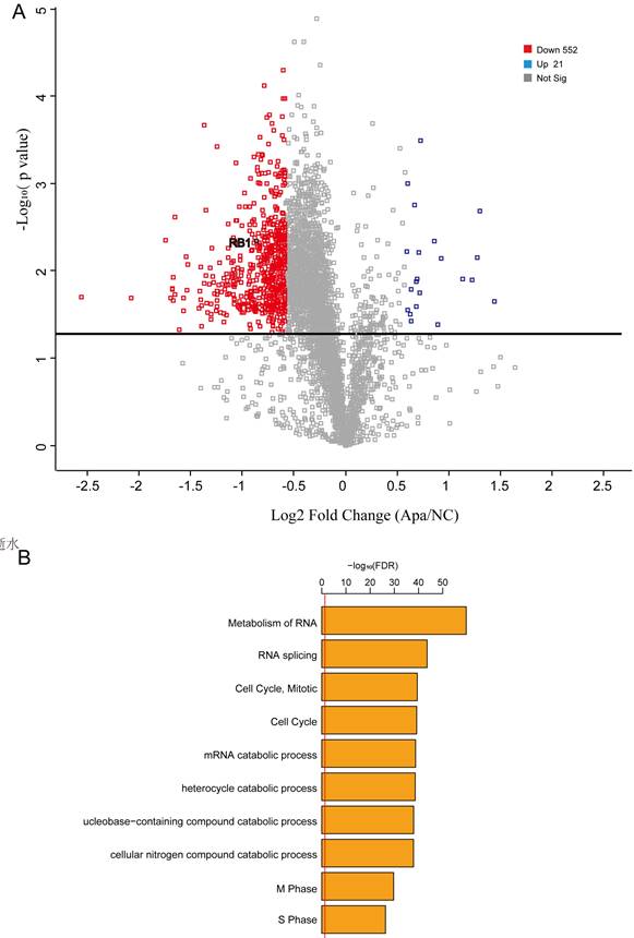 Integrative analysis of multi-omics data reveals inhibition of RB1 ...
