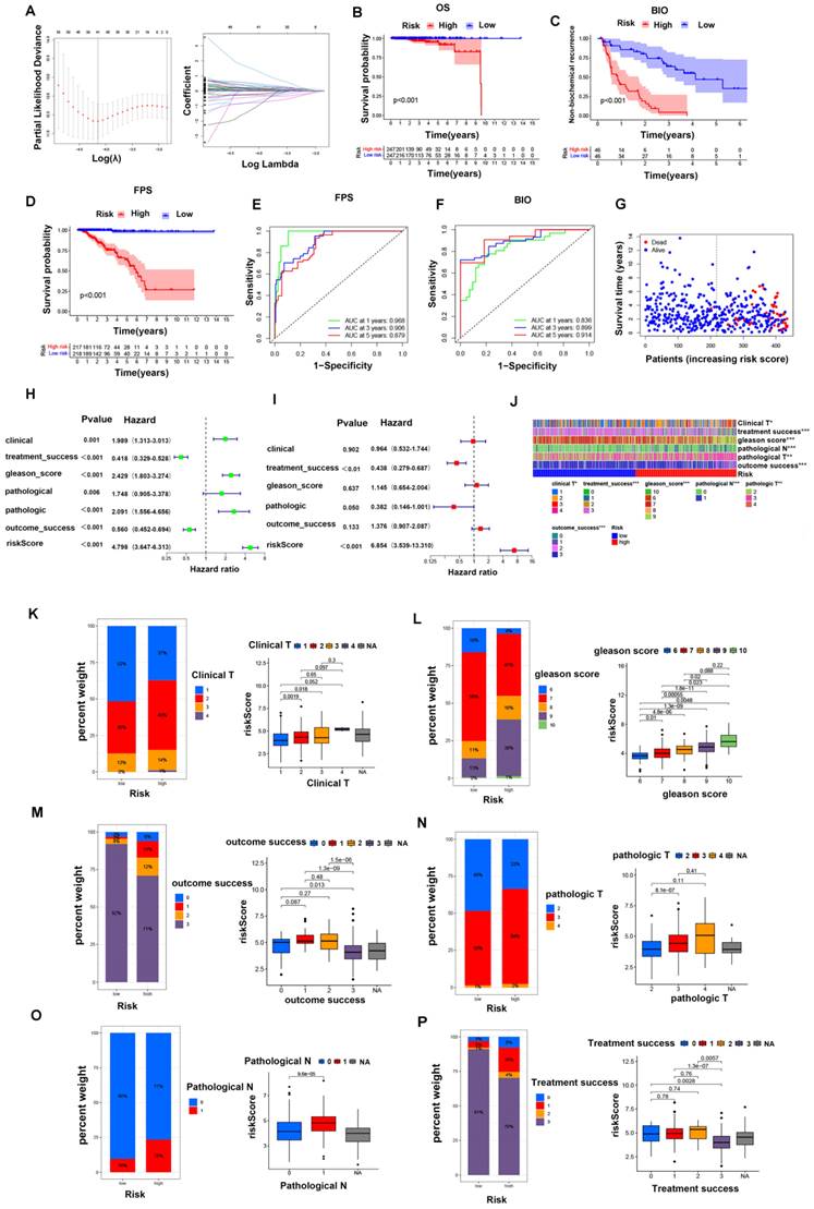 Glycine Decarboxylase (GLDC) Plays a Crucial Role in Regulating Energy ...