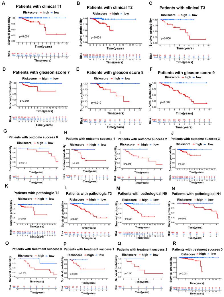 Glycine Decarboxylase (GLDC) Plays a Crucial Role in Regulating Energy ...