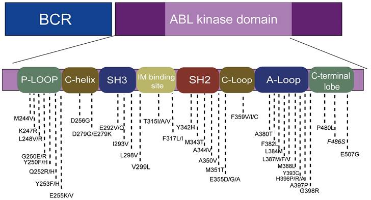Mechanisms underlying therapeutic resistance of tyrosine kinase ...