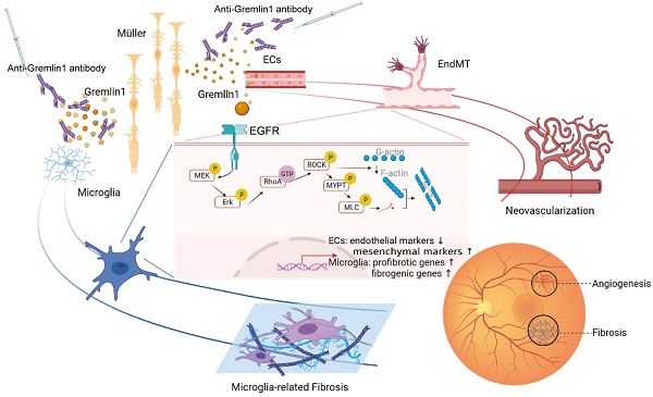Volume 20, Issue 3 - ijbs